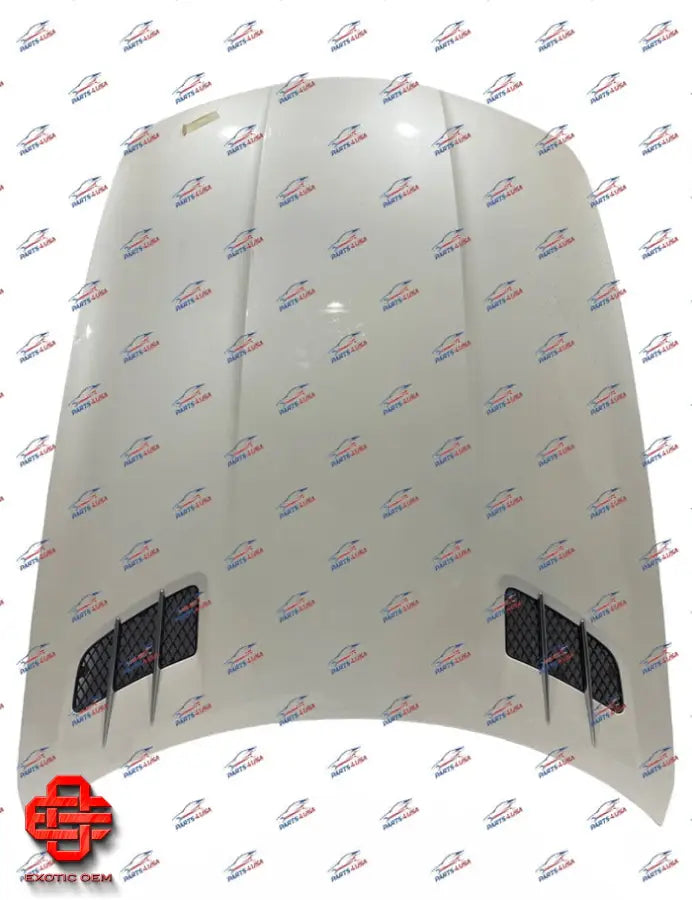 MERCEDES BENZ SLS AMG FRONT HOOD – EXOTIC OEM